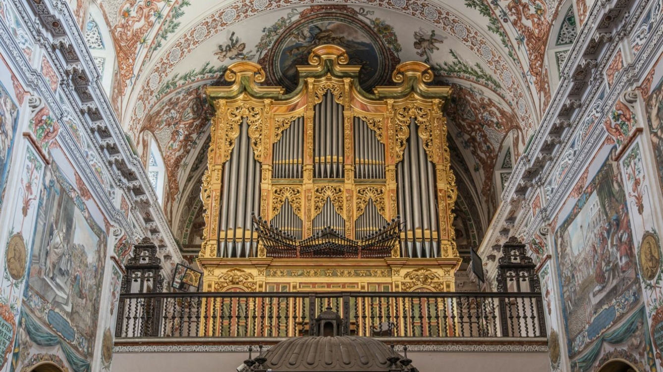 La Fundación Focus Loyola inaugura la Programación musical de 2023 en ...